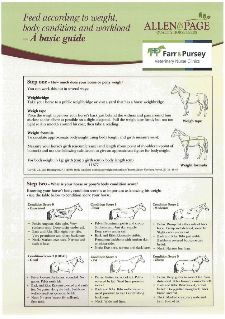 BCS chart - Farr & Pursey Equine